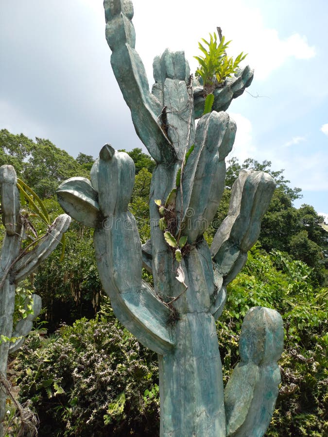 Artificial Captus Stock Photos - Free & Royalty-Free Stock Photos from ...