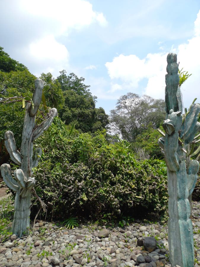 Artificial Captus Made of Stone in the Garden Stock Image - Image of ...