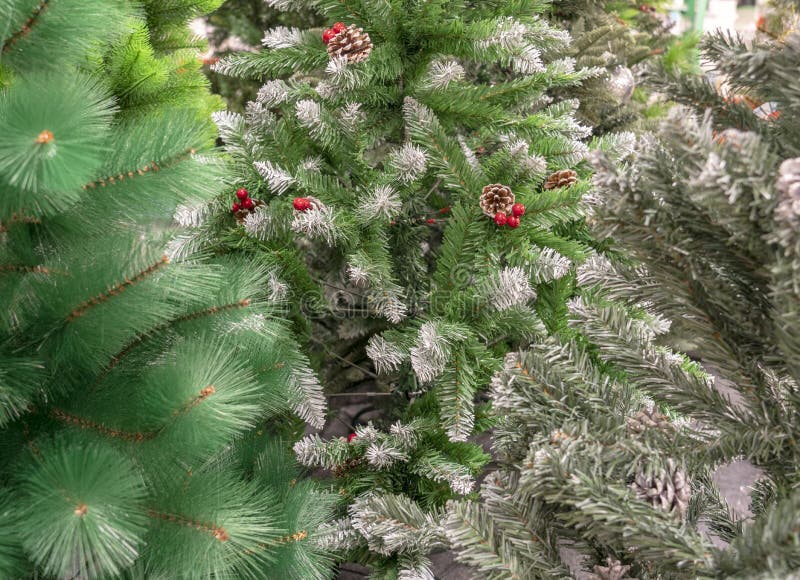 Artificial Christmas Trees in the Store Close-up Stock Photo - Image of ...