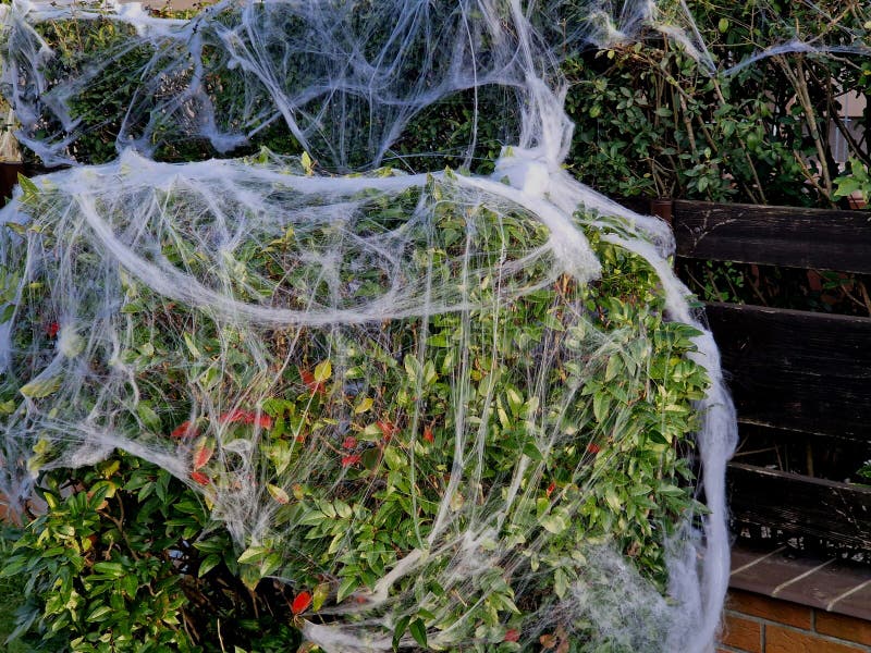 There is a Black Spider Web Bordered by a White Background. Stock Image ...