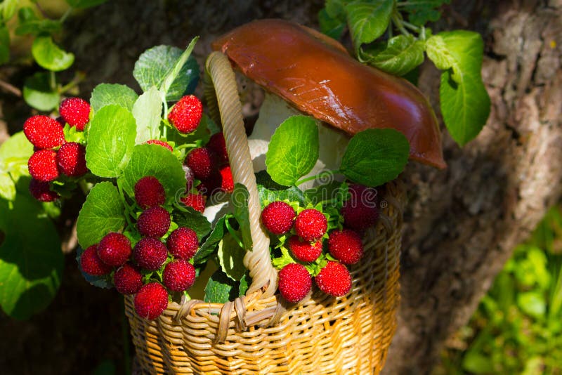Artificial Composition in the Garden. Wicker Basket with Raspberries ...