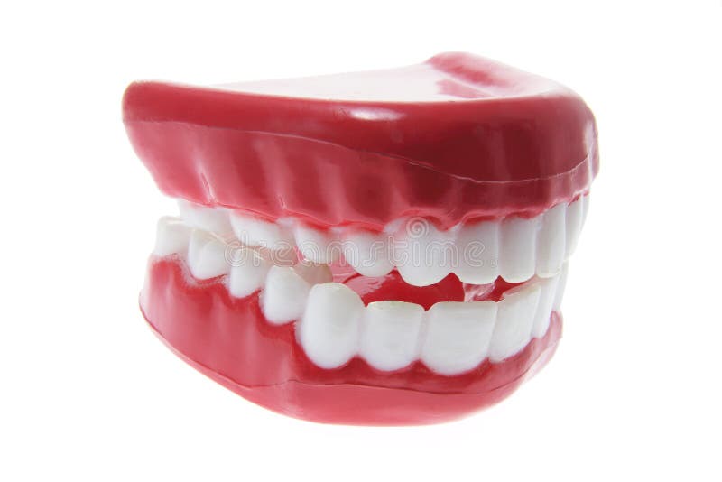 Artificial Dentures stock image. Image of white, isolated - 9056273