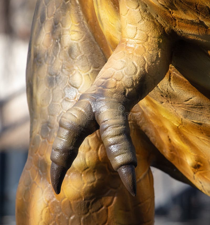 Artificial Dinosaur Paw in the Park. Stock Image - Image of puma, trace ...