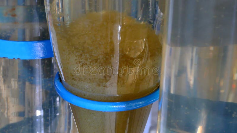 Incubator for Artificial Spawning Fish Stock Video - Video of biology ...