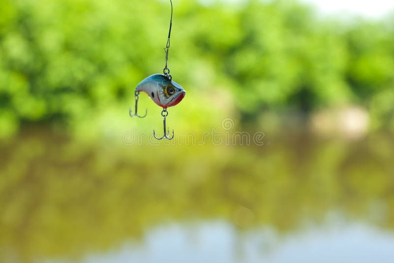 Artificial fish bait stock image. Image of catch, bait - 32308509