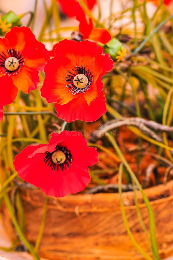 Red Flower Arrangement, in a Wicker Basket Stock Image - Image of front ...