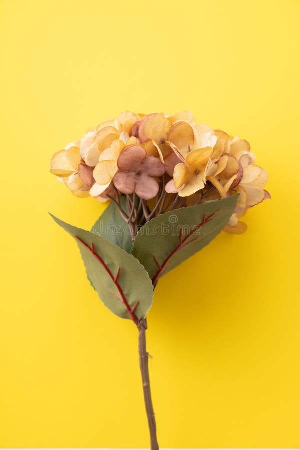 Artificial flower bouquet. stock illustration. Illustration of tone ...