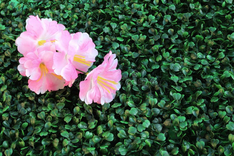 Artificial flower stock photo. Image of pink, plant, floral - 48154616