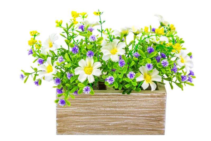 Small Flower Arrangement Rectangle Vase Stock Photos - Free & Royalty ...