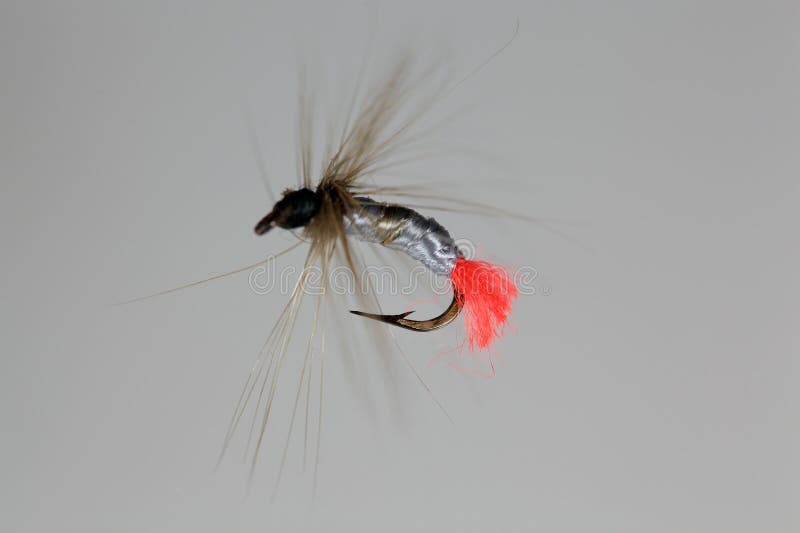 Artificial Fly for Fly Fishing Stock Photo - Image of food, incentive ...