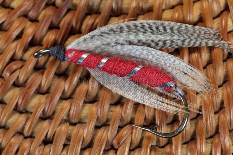 Artificial Fly for Fly Fishing Stock Photo - Image of hobbies, hairy ...