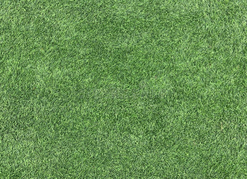 Architecture Design: Blueprint Plan - Illustration Of A Plan Mod Stock ...