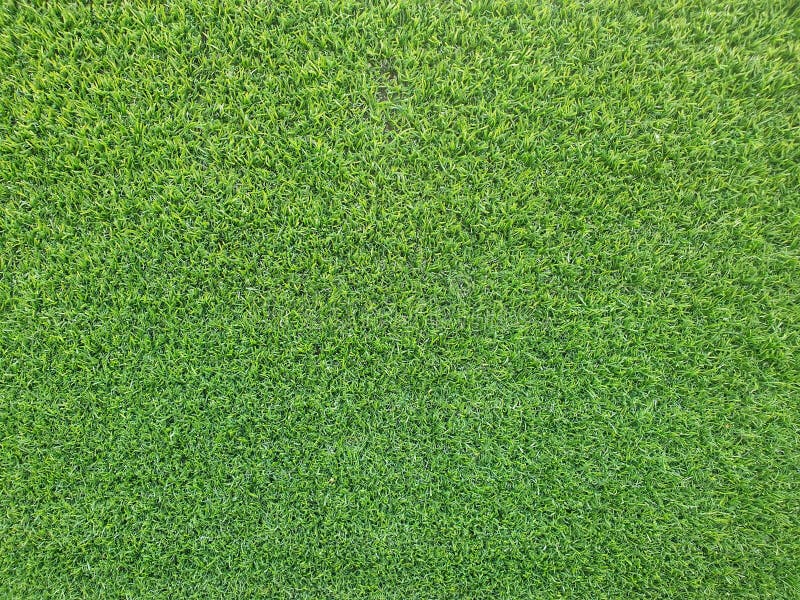 Artificial Grass Background with Copy Space. Stock Image - Image of ...