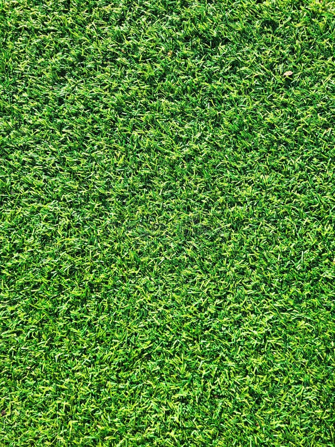 Artificial Grass Texture Use for Background. Green Grass Field ...