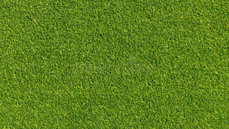Artificial Grass Carpet Background. Artificial Grass. Green Grass ...