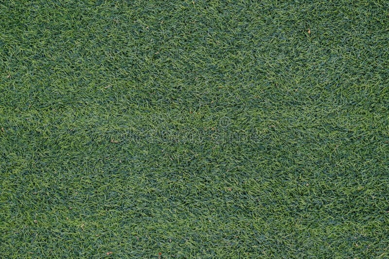 Artificial grass texture stock image. Image of agriculture - 281404949