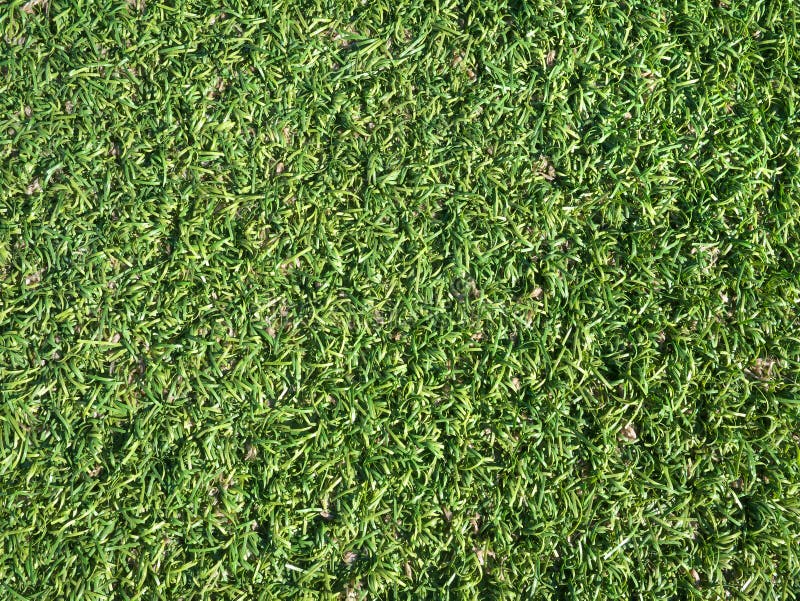 Artificial turf stock photo. Image of green, grass, artificial - 159486474