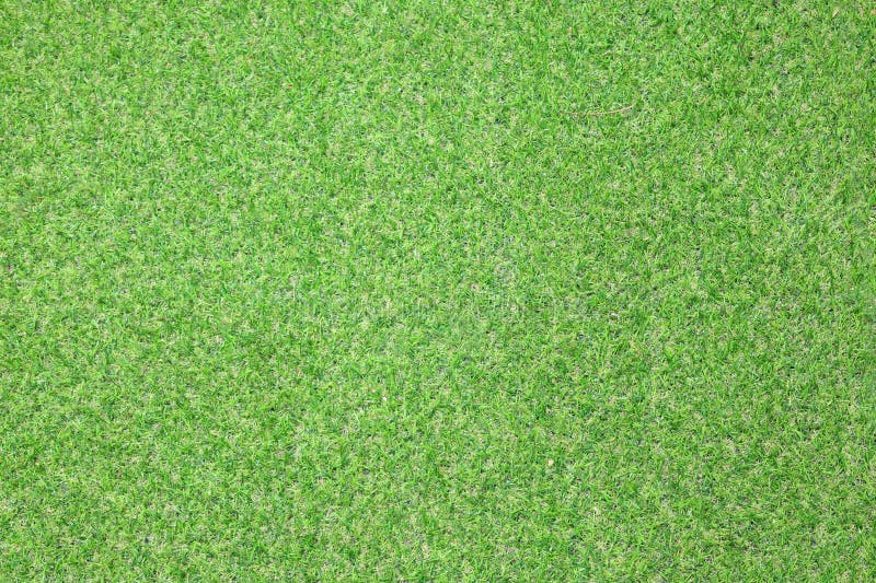 Artificial Grass, Covering. Artificial Green Grass Mat, Top View ...