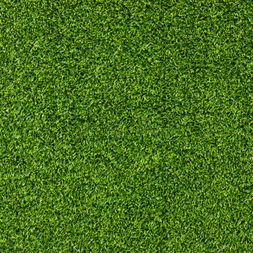 804 Astroturf Texture Stock Photos - Free & Royalty-Free Stock Photos ...
