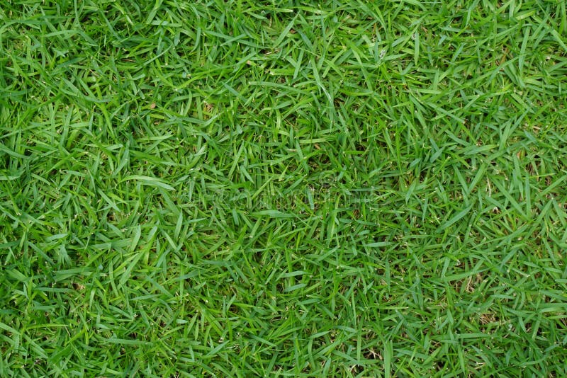 Artificial Grass Field Top View Texture. Green Grass Texture Background ...