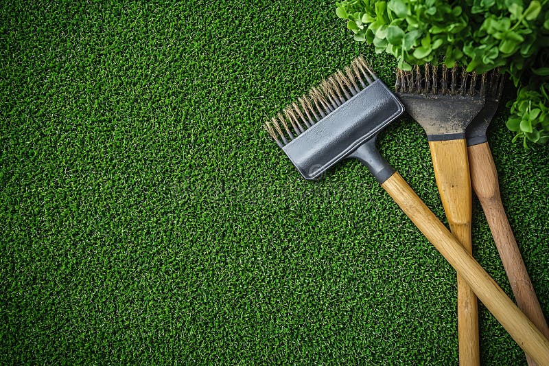 Artificial Grass with Gardening Tools and Green Foliage Stock Image ...