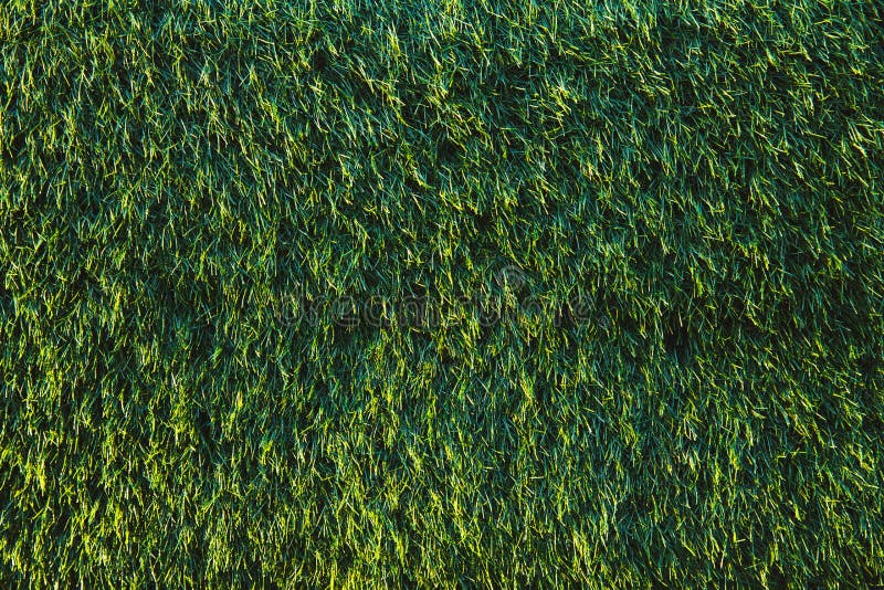 Artificial Grass. Green Texture. Synthetic. Plastic Grass Stock Photo ...