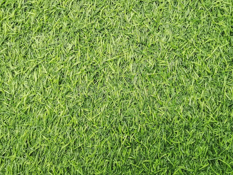 Artificial Grass Lawn Texture. Artificial Turf Background Stock Image ...