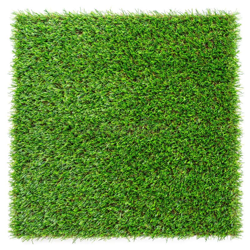 Grass stock image. Image of background, outdoor, abstract - 32107171