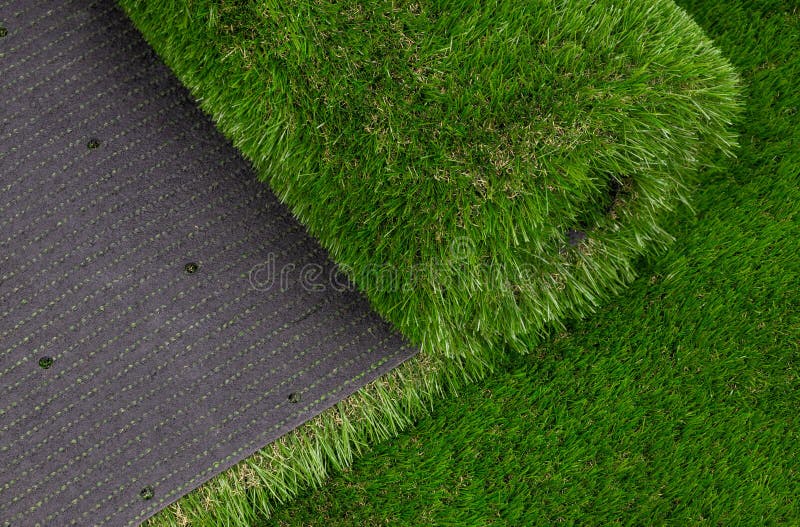 Artificial Grass Roll Displaying Backing and Texture Stock Image ...