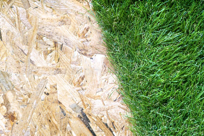 Artificial Grass Roll on the Osb Sheet. Stock Image - Image of ...