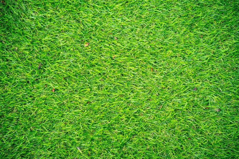 Artificial Grass Texture Background in the Lawn Outdoor Stock Image ...