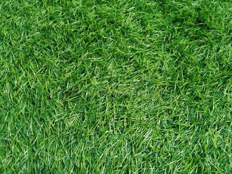 Truf Background Stock Photos - Free & Royalty-Free Stock Photos from ...