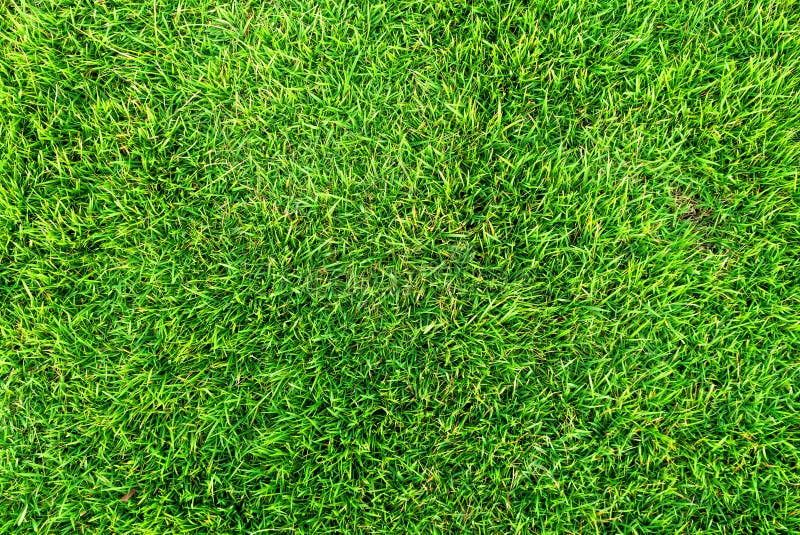 Artificial Green Grass Background. Green Grass Floor Texture Ideal for ...