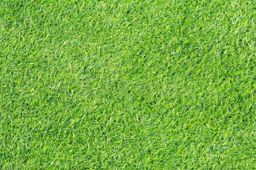 Astroturf Texture Seamless Stock Photos - Free & Royalty-Free Stock ...