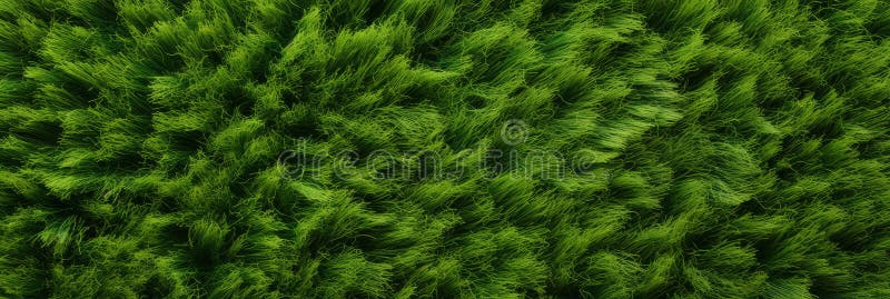 Artificial Green Grass. Natural Background. Greenery Texture from Top ...