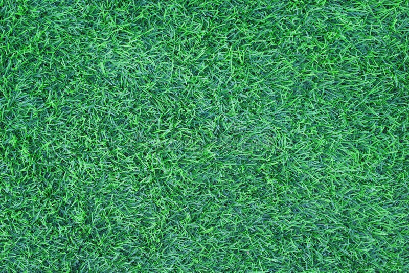 Grass Patterns stock photo. Image of grass, green, texture - 462532
