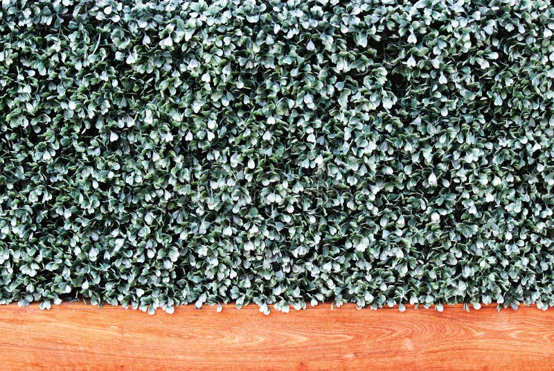 Artificial Green Grass Wall Stock Photo - Image of water, meadow: 30616920