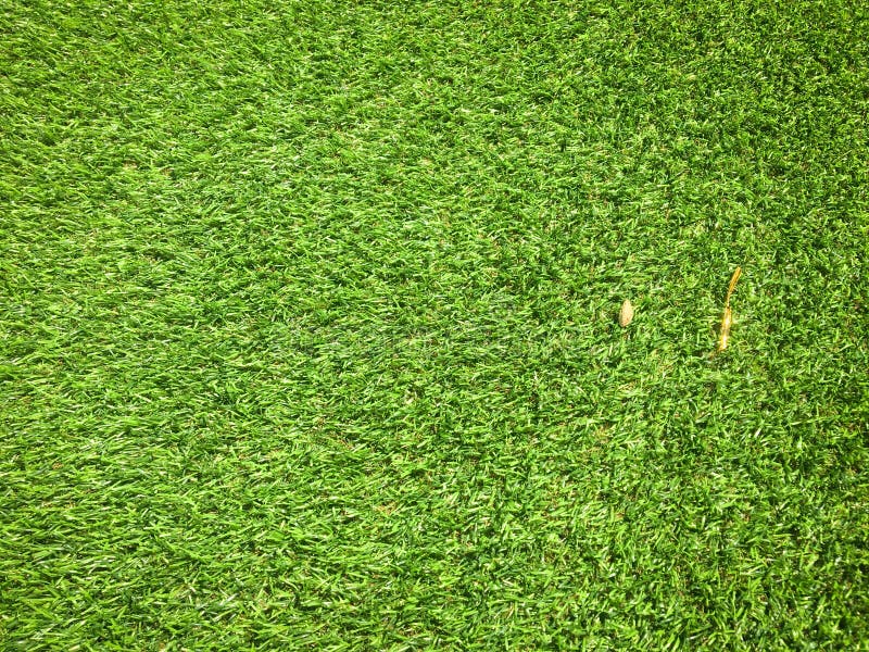 Artificial Green Lawn Backyard for Background. Texture for Design Stock ...