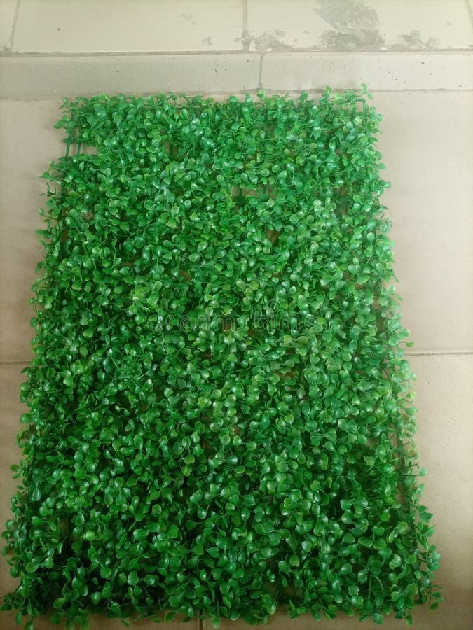 Artificial green mat stock image. Image of lawn, evergreen - 270063525
