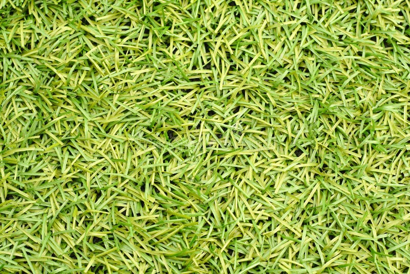 Artificial Green Plastic Grass Stock Image - Image of meadow, plant ...