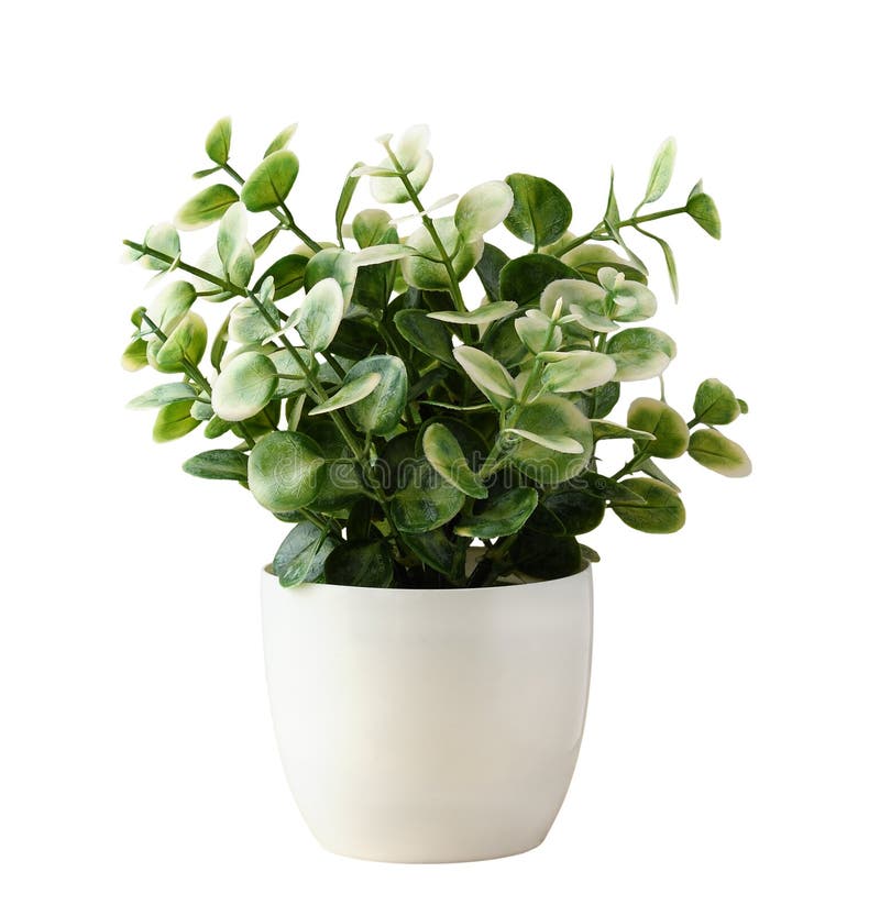 Artificial Greenery with Green and White Leaves in a Flowerpot Isolated ...