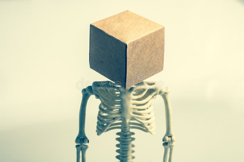 Artificial Human Body Skeleton with a Box on Skull Stock Photo - Image ...