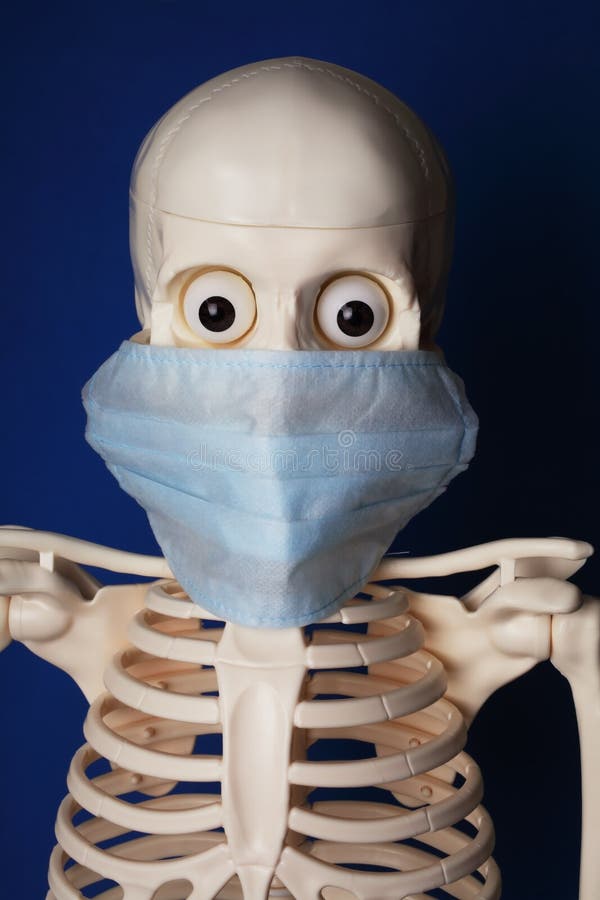 Skeleton with Eyes stock photo. Image of parts, part - 28521142