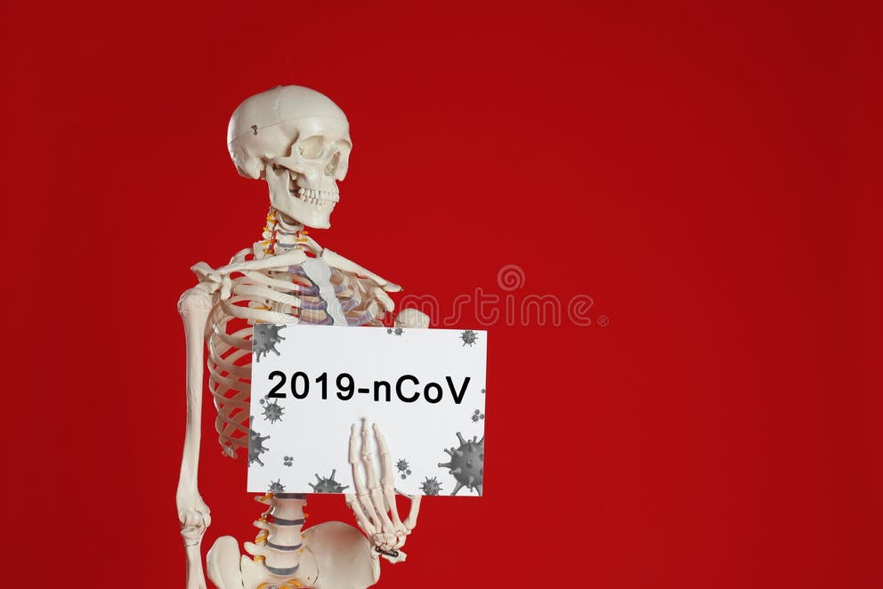 Artificial Human Skeleton with Illustration of Virus on Red Background ...