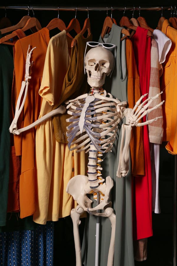 Artificial Human Skeleton Model among Clothes Stock Image - Image of ...