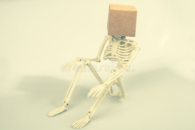 Artificial Human Skeleton Sitting with a Box on Skull Stock Photo ...