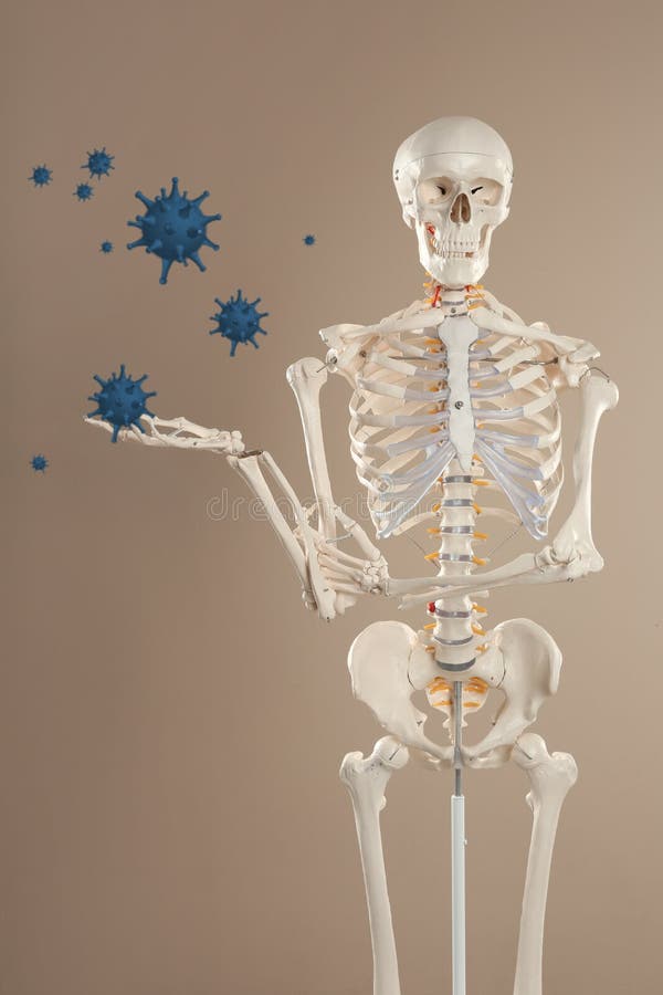 Artificial Human Skeleton And Virus On Beige Stock Image - Image of ...
