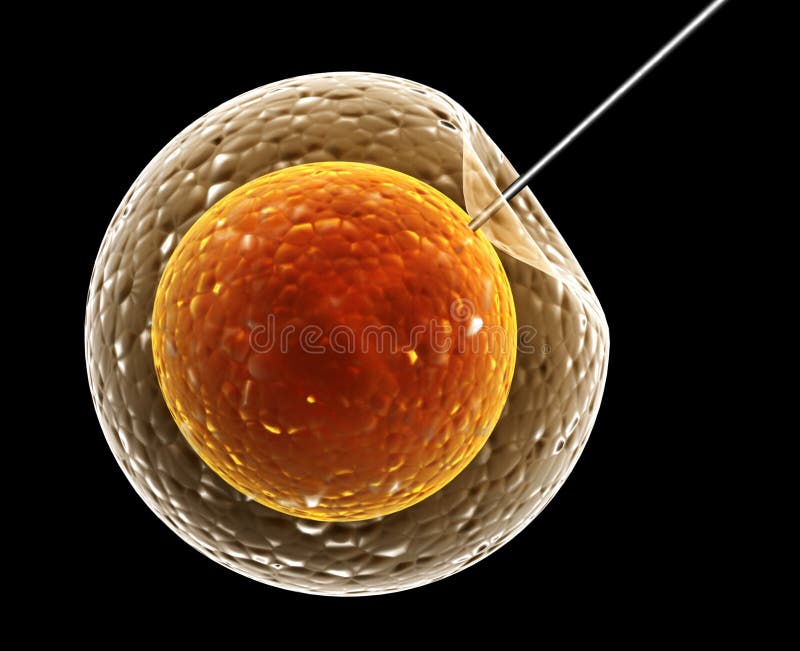 Artificial insemination stock illustration. Illustration of ...