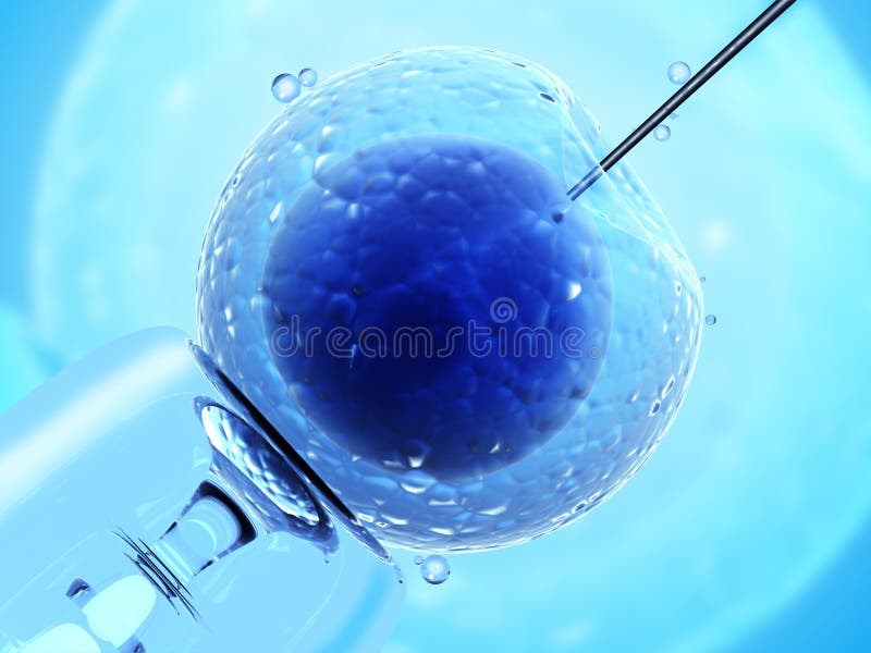 Artificial insemination stock illustration. Illustration of embryo ...