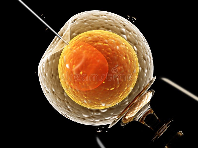 Artificial insemination stock illustration. Illustration of experiment ...